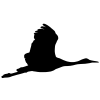 Blog – Evan Pak Photography